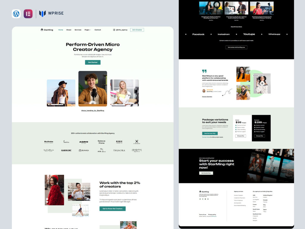 StarMing - Influencer Marketing Agency Elementor Template - WPRise